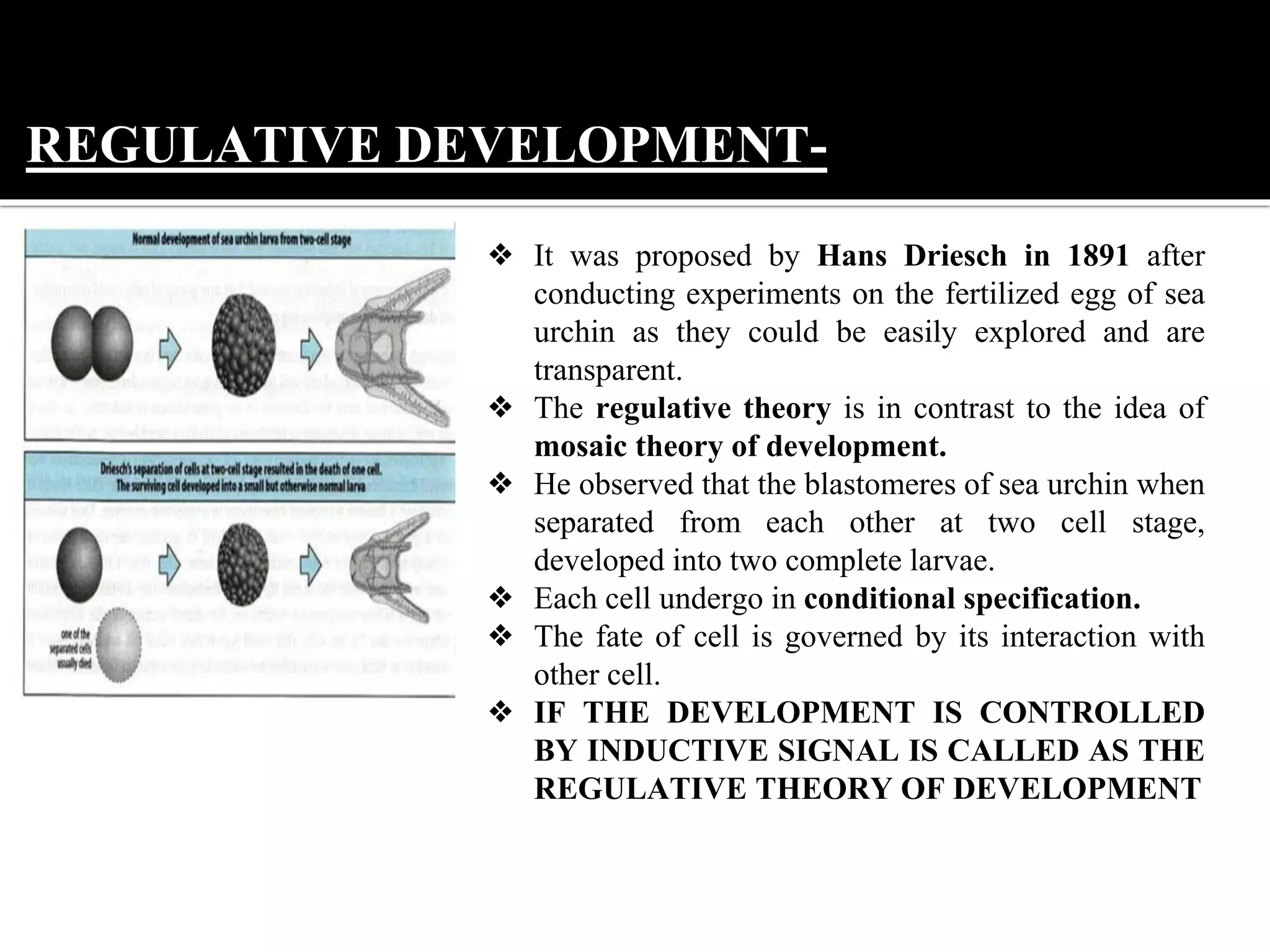 Mosaic and Regulate Development | PDF