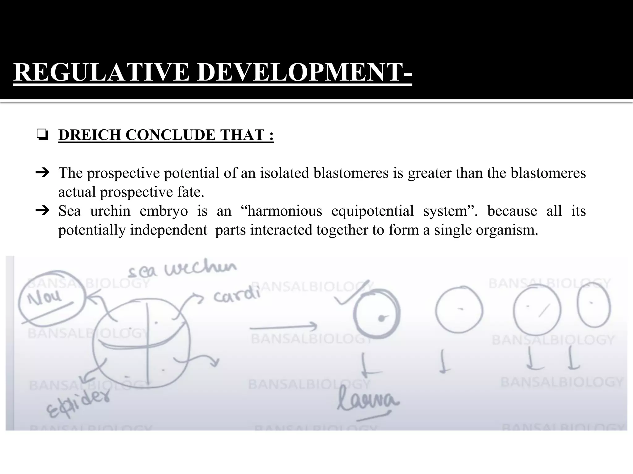 Mosaic and Regulate Development | PDF