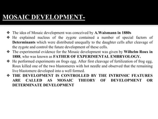 Mosaic and Regulate Development | PDF