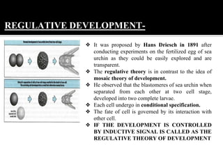 Mosaic and Regulate Development | PDF