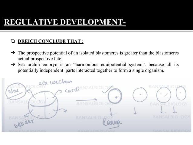 Mosaic and Regulate Development | PDF