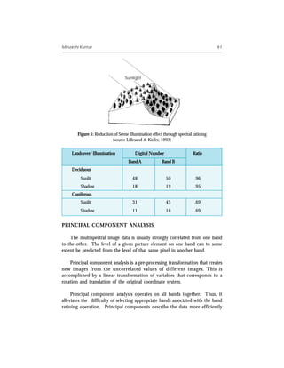 satllite image processing | PDF