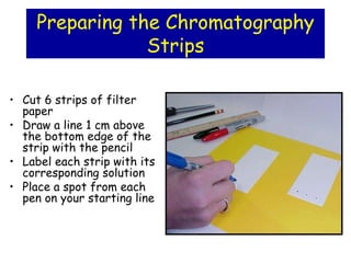 Paper-Chromatography.ppt