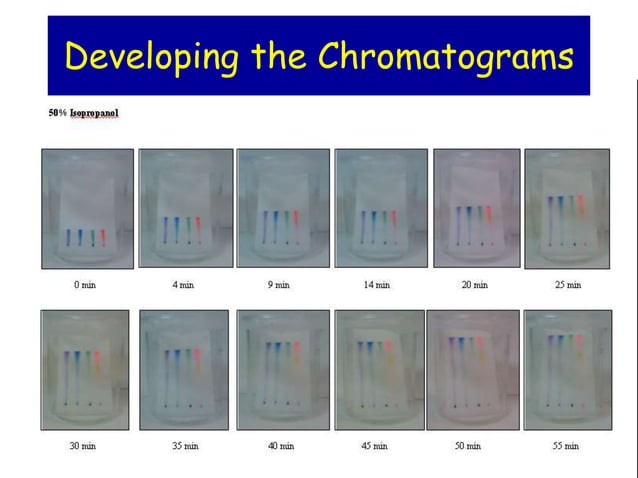 Paper-Chromatography.ppt