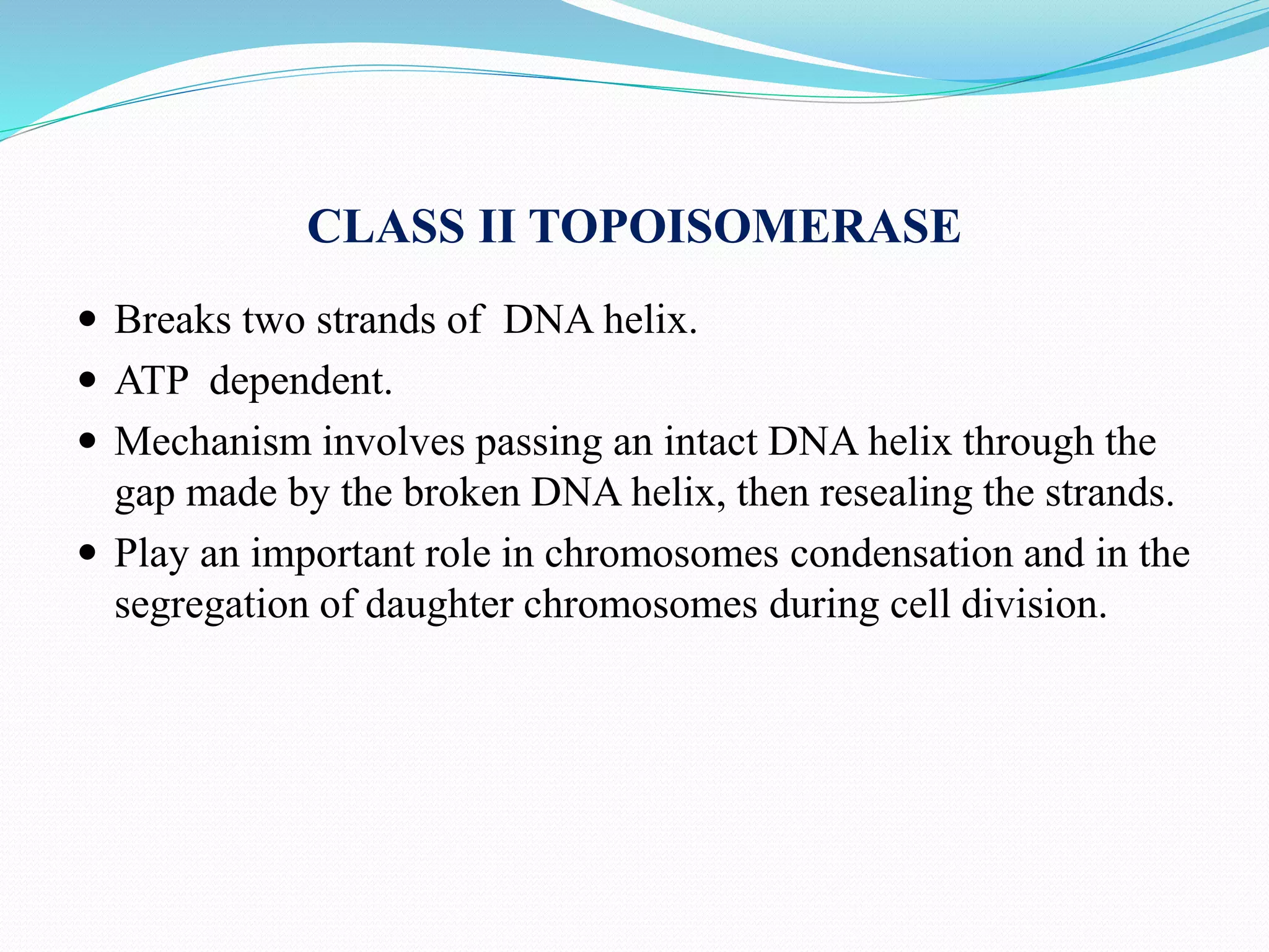 Supercoiling of DNA | PPTX