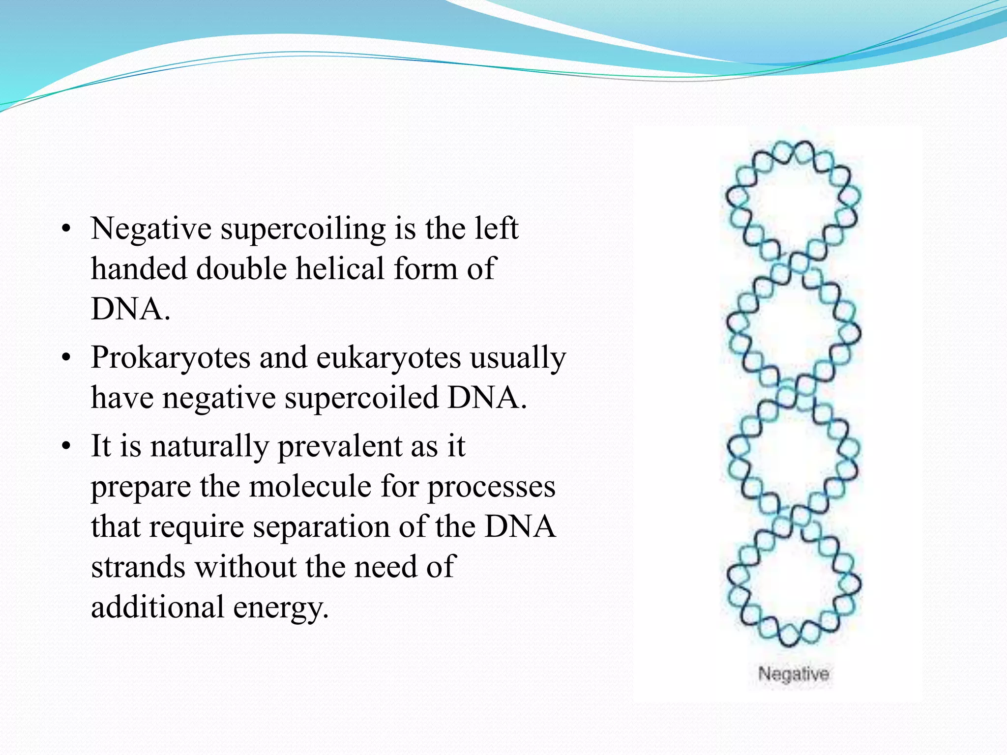 Supercoiling of DNA | PPTX