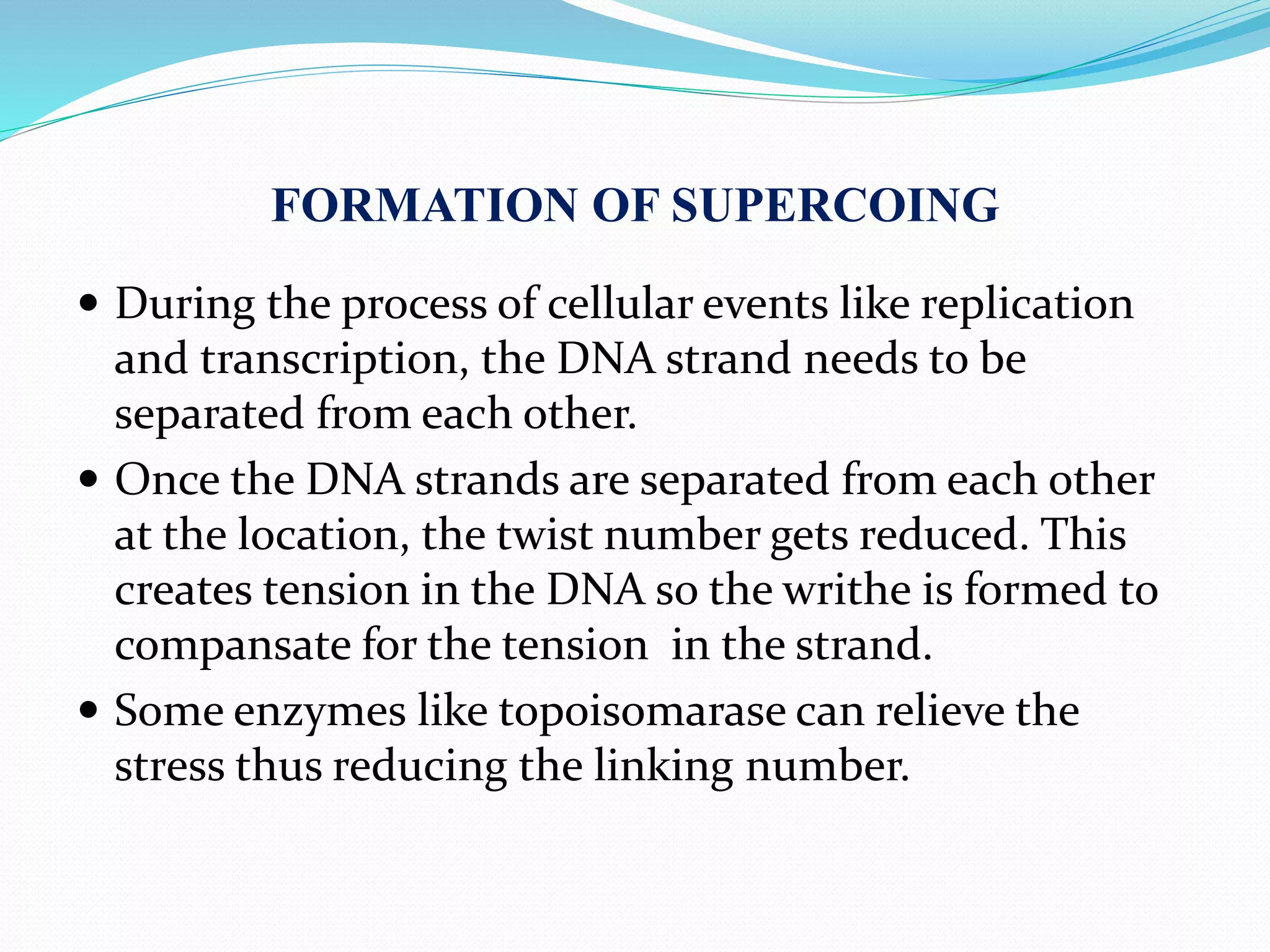 Supercoiling of DNA | PPTX