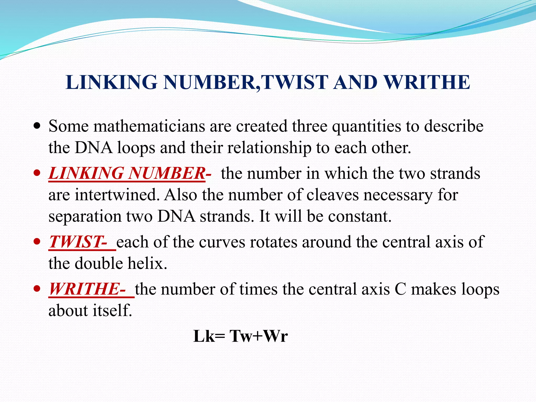 Supercoiling of DNA | PPTX