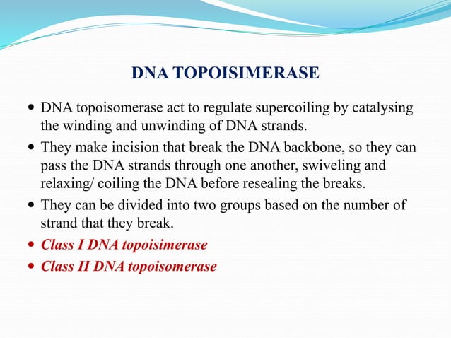 Supercoiling of DNA | PPTX | Chemistry | Science