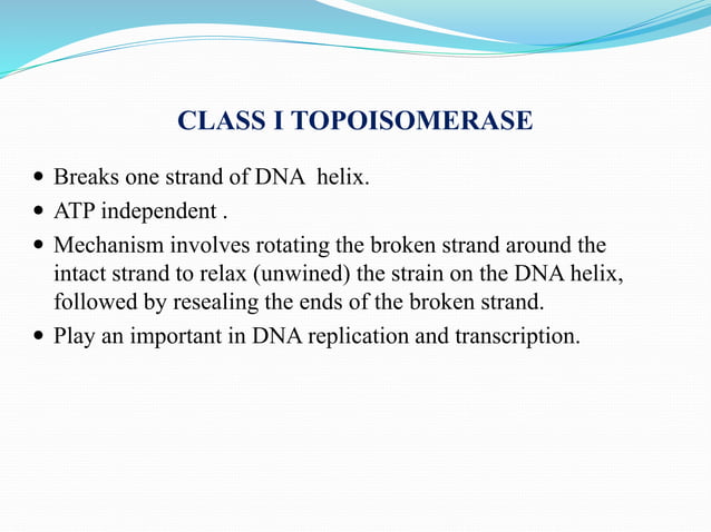 Supercoiling of DNA | PPTX | Chemistry | Science