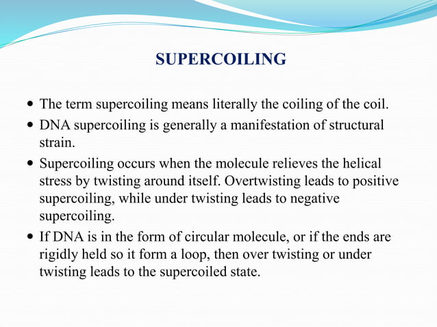 Supercoiling of DNA | PPTX | Chemistry | Science