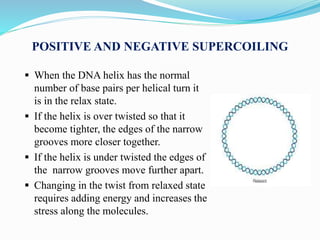 Supercoiling of DNA | PPTX