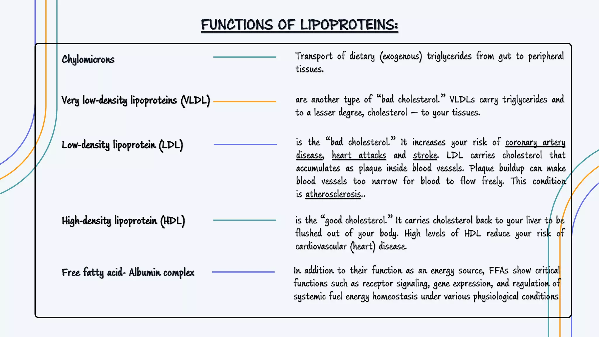 LIPOPROTEIN AND CLASSIFICATION OF CHYLOMICRON, VLDL, LDL, HDL | PDF