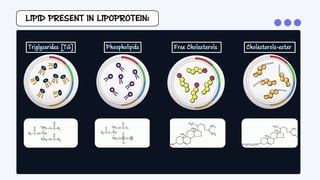 LIPOPROTEIN AND CLASSIFICATION OF CHYLOMICRON, VLDL, LDL, HDL | PDF