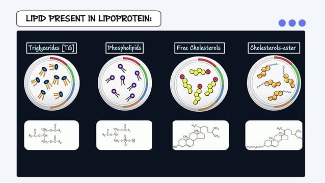 LIPOPROTEIN AND CLASSIFICATION OF CHYLOMICRON, VLDL, LDL, HDL | PDF