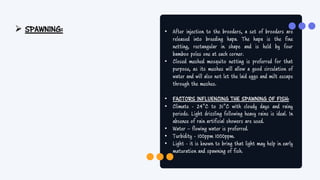 INDUCED BREEDING IN FISHES - TECHNIQUE AND APPLICATION | PPTX