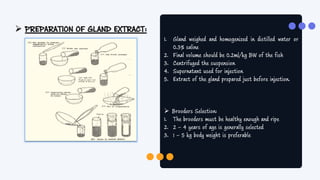 INDUCED BREEDING IN FISHES - TECHNIQUE AND APPLICATION | PPTX
