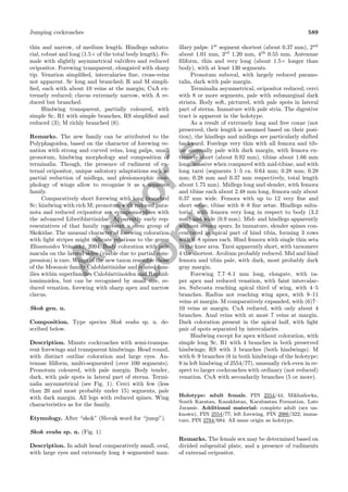 Jumping cockroaches (Blattaria, Skokidae fam. n.) from the Late ...