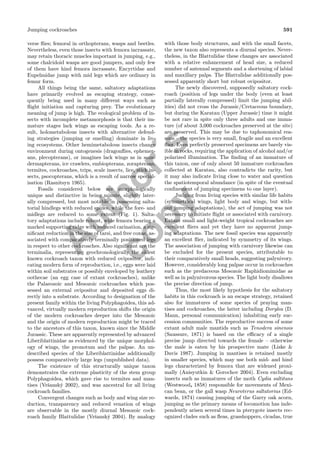 Jumping cockroaches (Blattaria, Skokidae fam. n.) from the Late ...