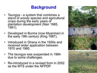 Session 5.6 MANAGEMENT OF GHANA’S MODIFIED TAUNGYA SYSTEM: CHALLENGES ...