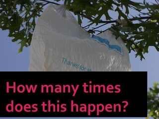Paper Or Plastic | PPT