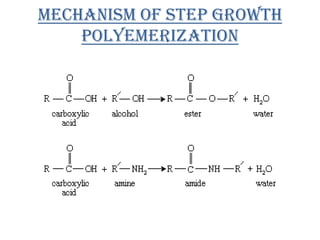 Mechanism of Polymerization | PDF