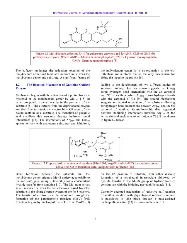 Theoretical Studies on Mechanism of Xanthine Oxidase and 6-mercaptopurine | PDF
