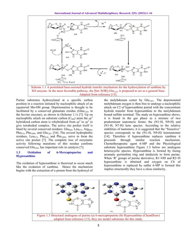 Theoretical Studies on Mechanism of Xanthine Oxidase and 6-mercaptopurine | PDF