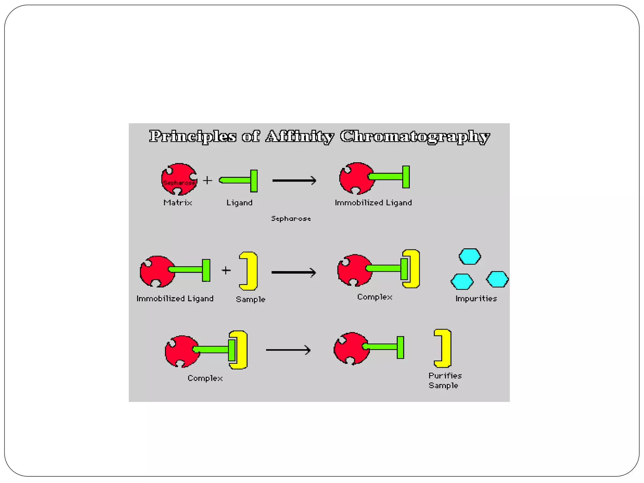 AFFINITY CHROMATOGRAPHY | PPTX