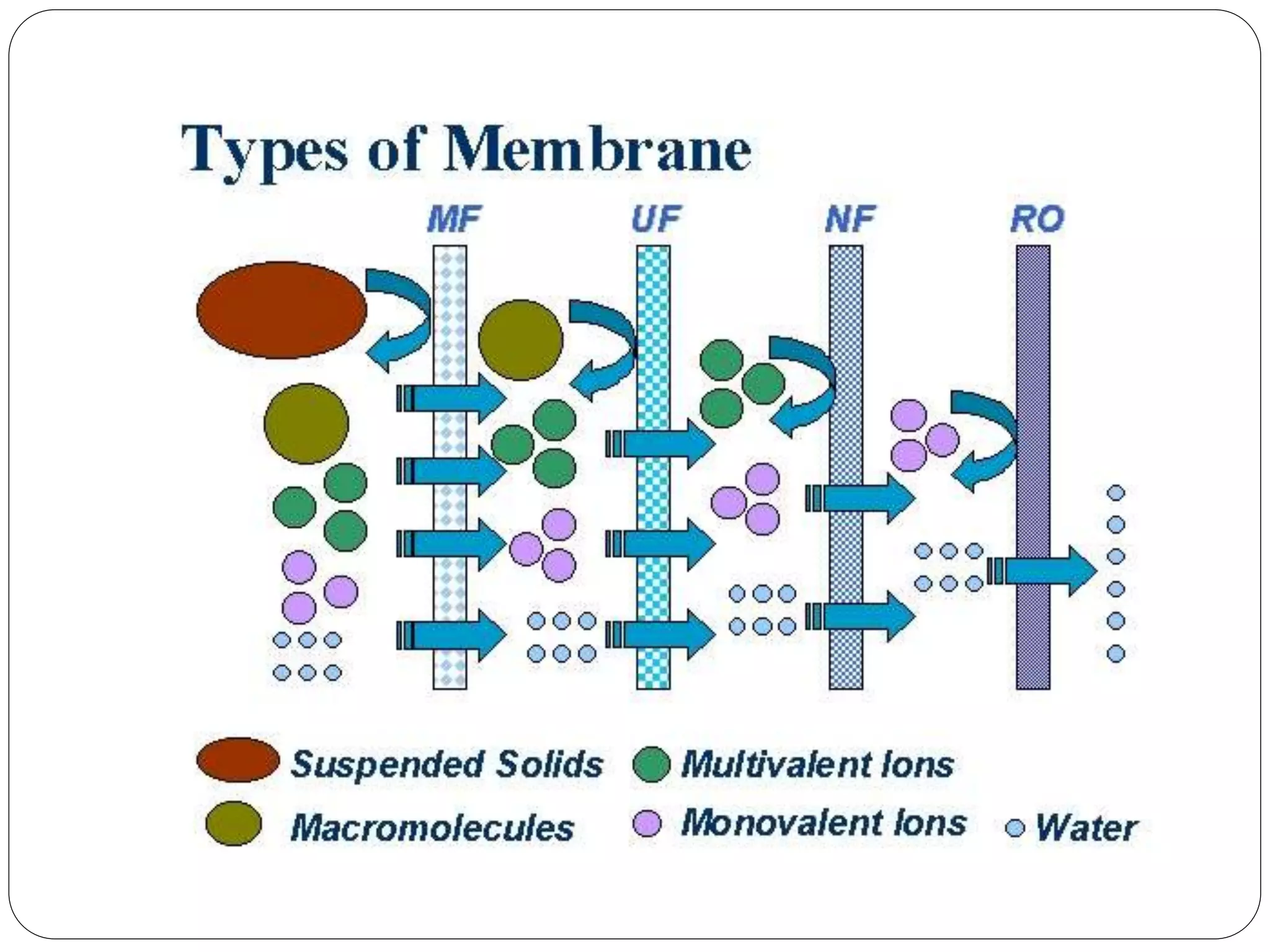 MEMBRANE SEPARATION | PPTX
