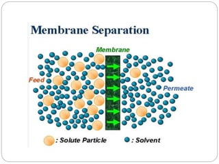 MEMBRANE SEPARATION | PPTX