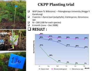 Peatlands rehabilitation | PPT