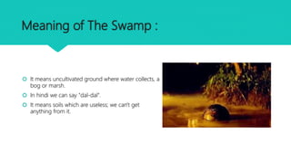 Paper 14 african lit | PPT