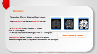 Improved Brain Segmentation using Pixel Separation and Additional Segmentation Features | PPT