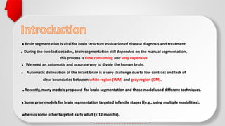 Improved Brain Segmentation using Pixel Separation and Additional Segmentation Features | PPT
