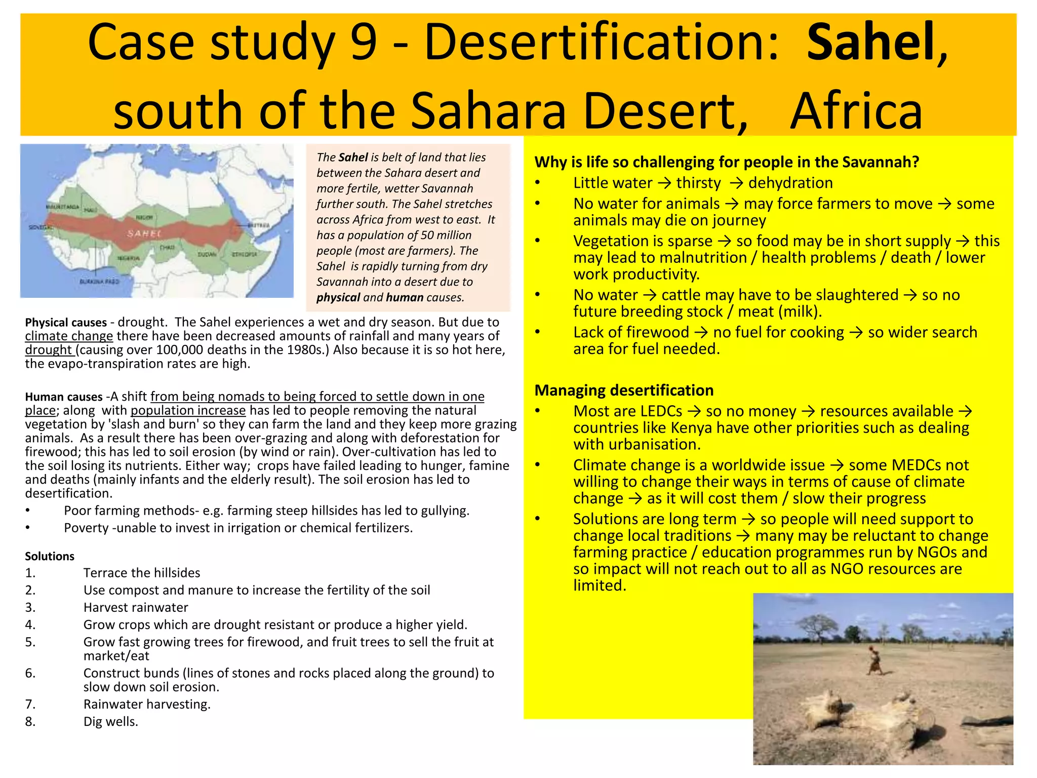Paper 1 case studies WJEC Geog B GCSE | PPTX