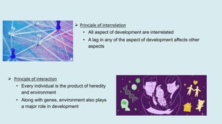 Paper 1 presentation.pptx