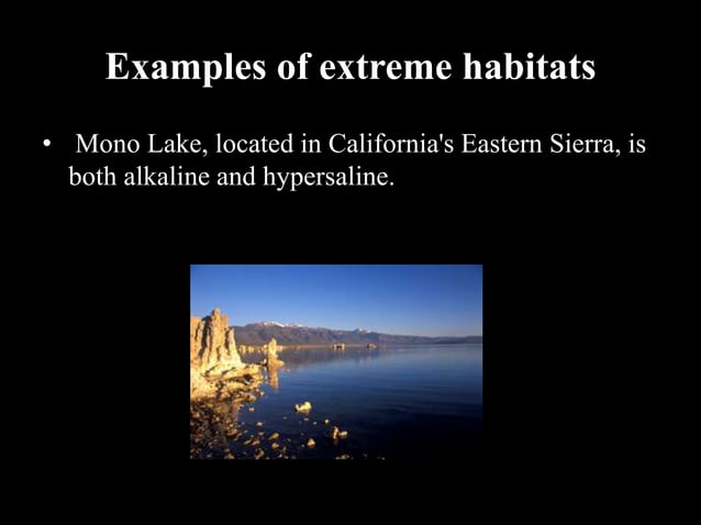 extreme habitats | PPT