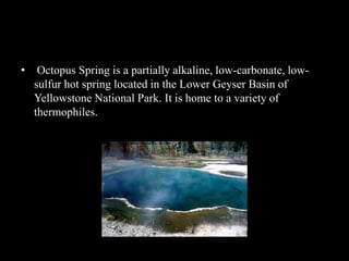 extreme habitats | PPTX | Chemistry | Science