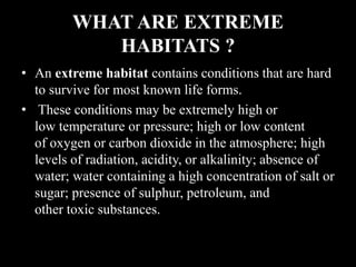 extreme habitats | PPT