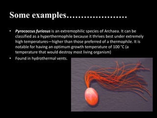 extreme habitats | PPTX | Chemistry | Science