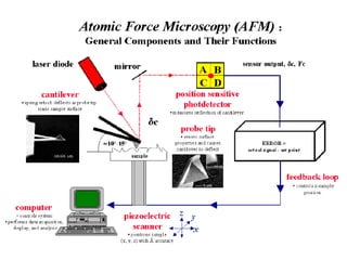 SCANNING PROBE MICROSCOPY . | PPTX