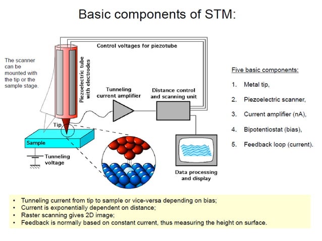SCANNING PROBE MICROSCOPY SCANNING PROBE MICROSCOPY