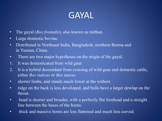 hybrids between wild and domestic species | PPT