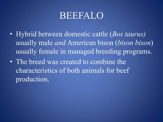hybrids between wild and domestic species | PPT