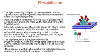 Light harvesting mechanism in bacteria and Regulation of cam through ...