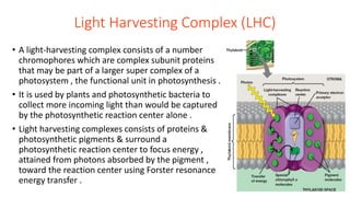 Light harvesting mechanism in bacteria and Regulation of cam through ...
