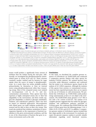 paper4arthrobacter.pdf | Biotech and Biomedical Industry | Industries