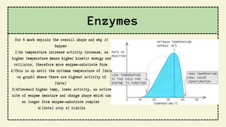 Paper 6 Revision for igcse biology 0610 2023-2025 syllabus | PDF