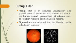 A Proposed Framework for Robust Face Identification System | PPTX ...